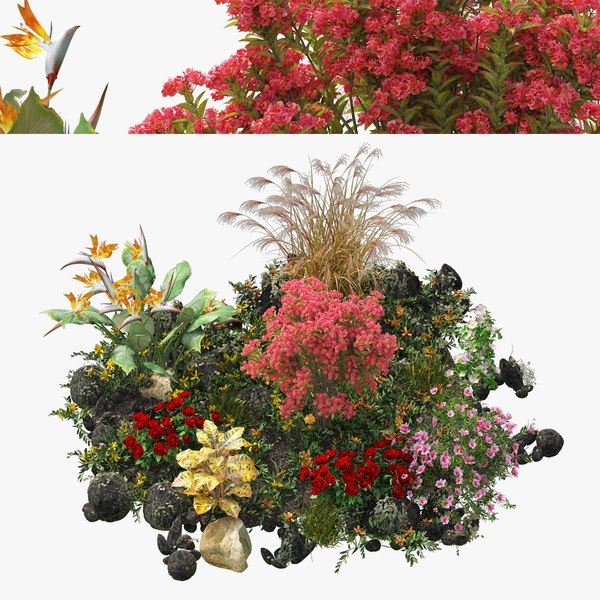 modelo 3d Flower cluster - TurboSquid 2057805