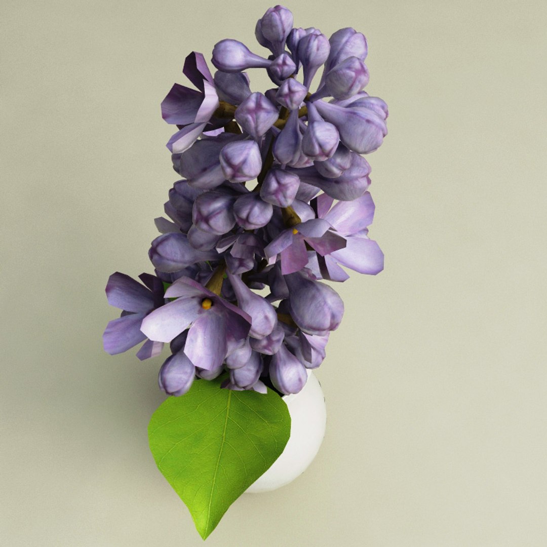 3d Model Lilac Flower Vase