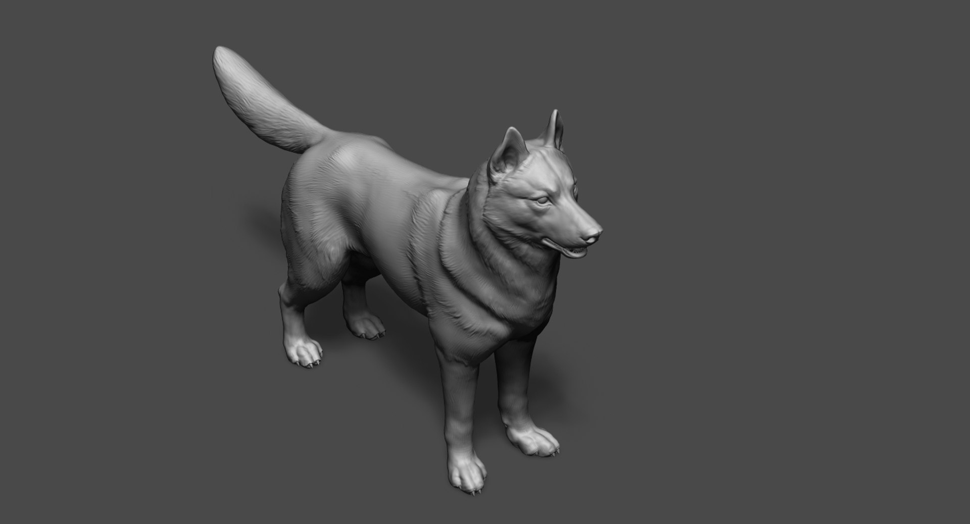 Siberian Husky Polypaint Polygons Model - TurboSquid 1299728