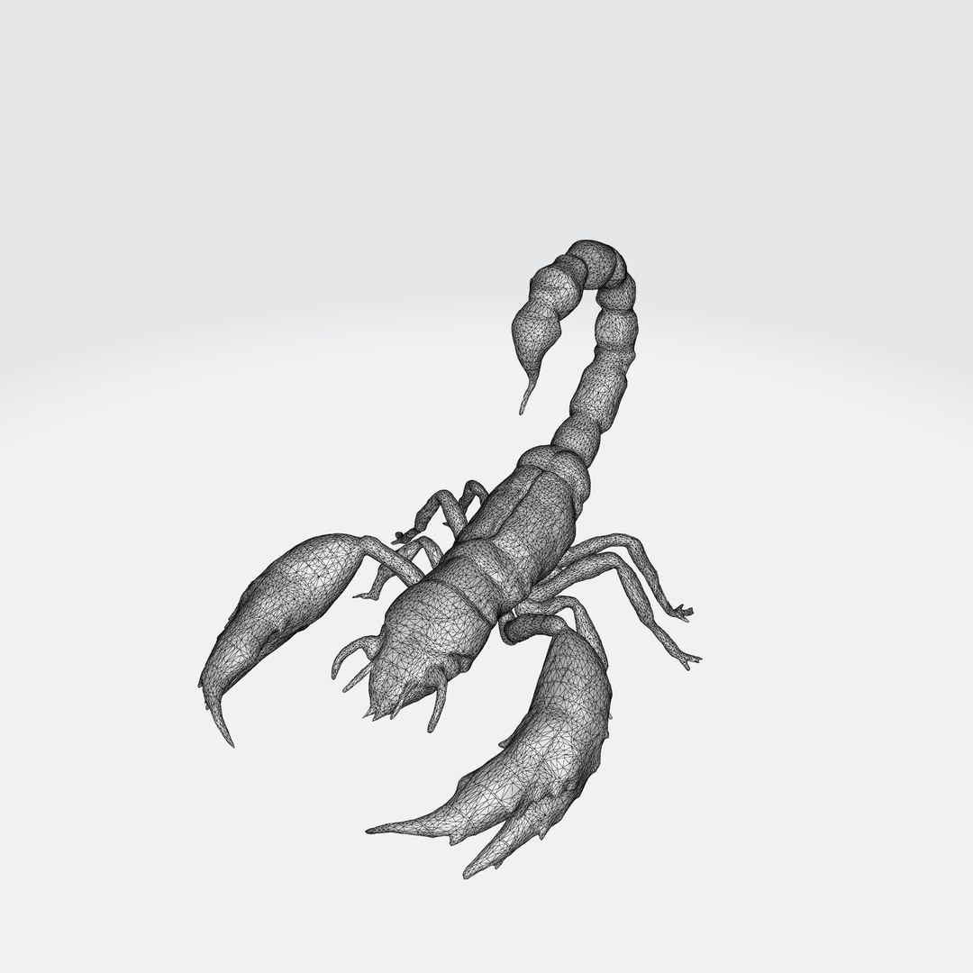 3D Realistic Scorpion Model - TurboSquid 2267149