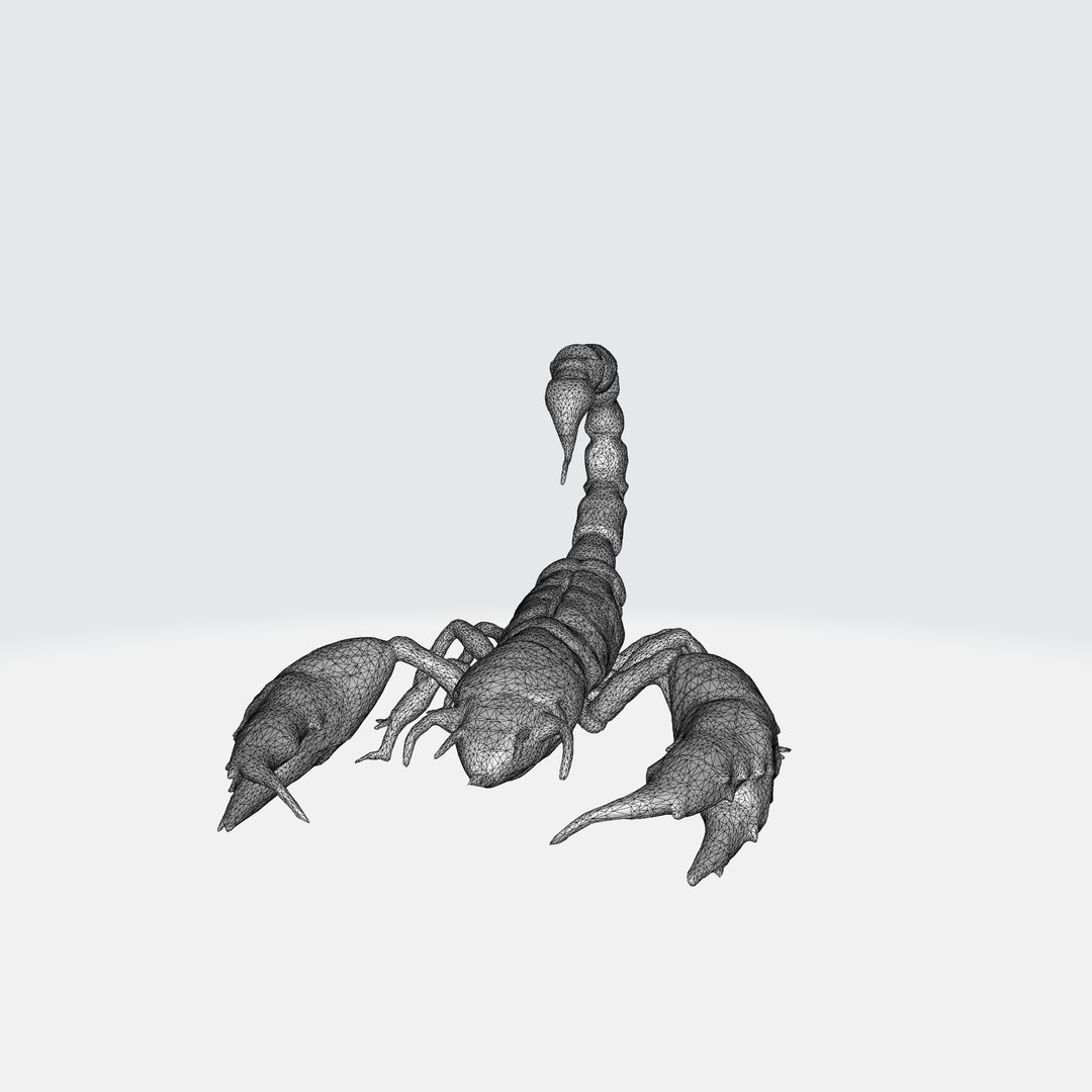 3D Realistic Scorpion Model - TurboSquid 2267149