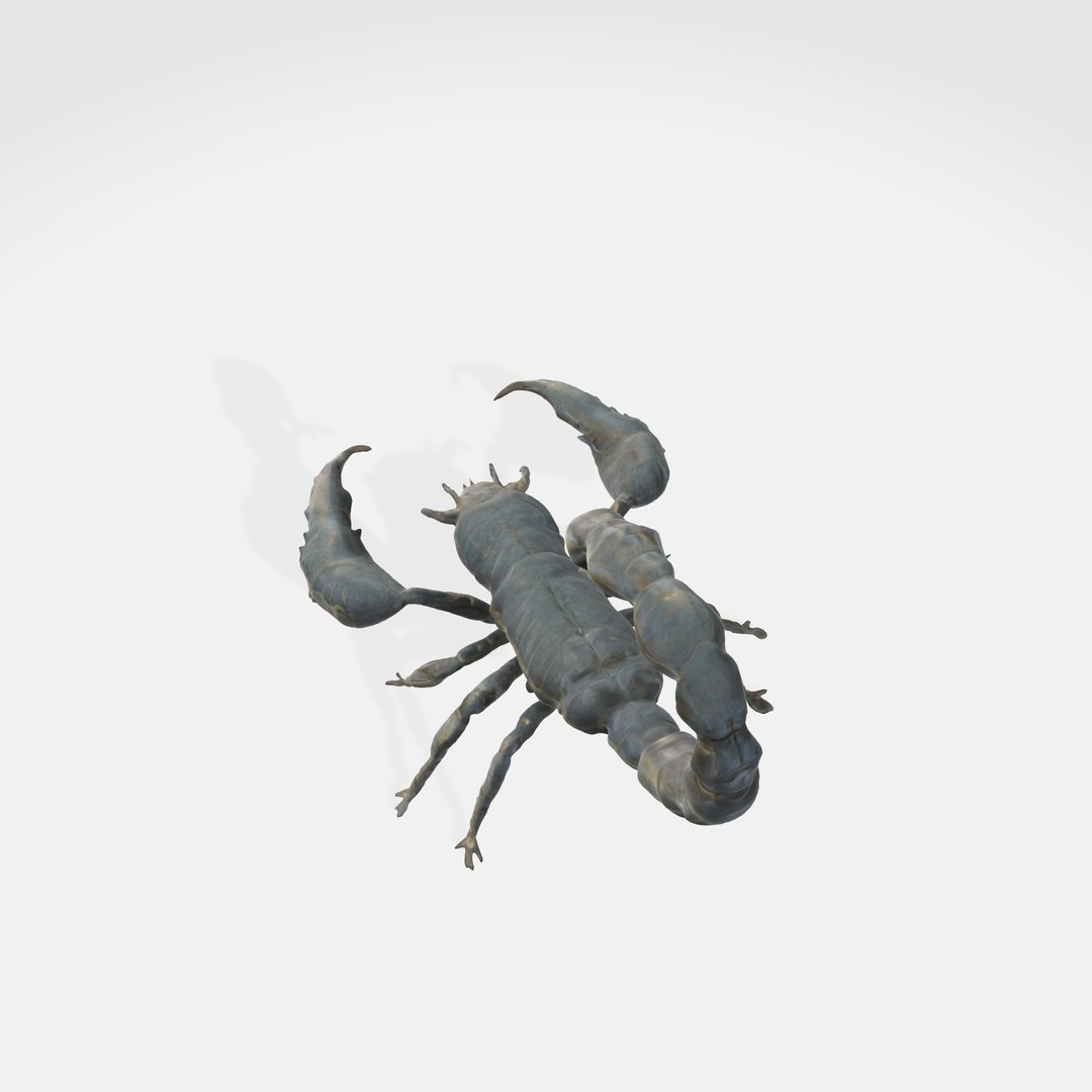 3D Realistic Scorpion Model - TurboSquid 2267149