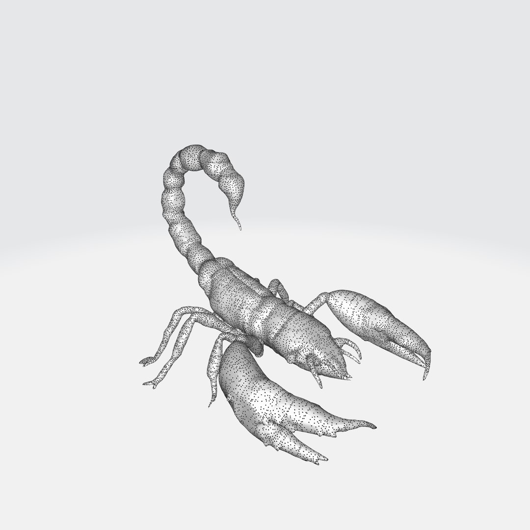 3D Realistic Scorpion Model - TurboSquid 2267149