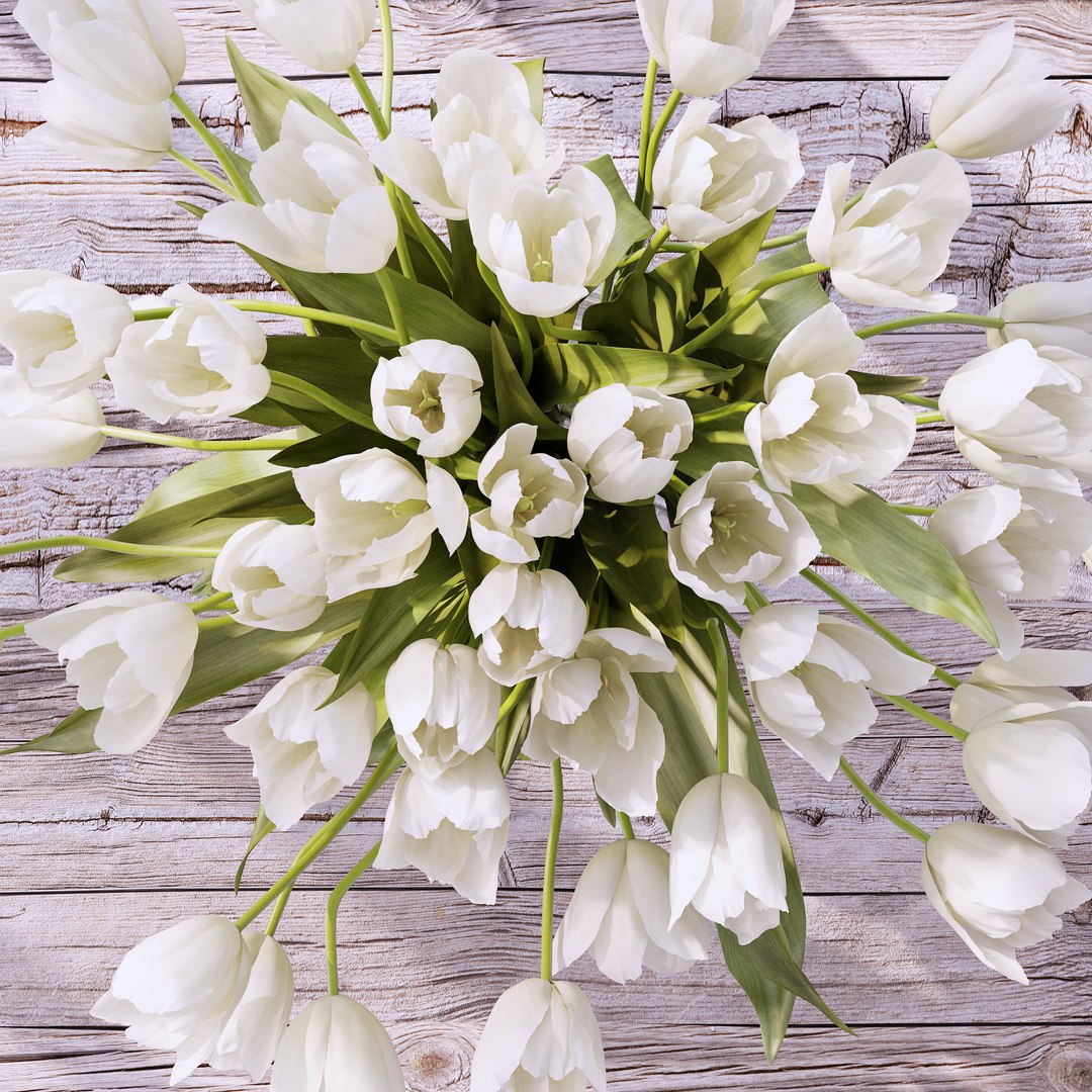 Tulip Centerpiece Model | 1145662 | TurboSquid