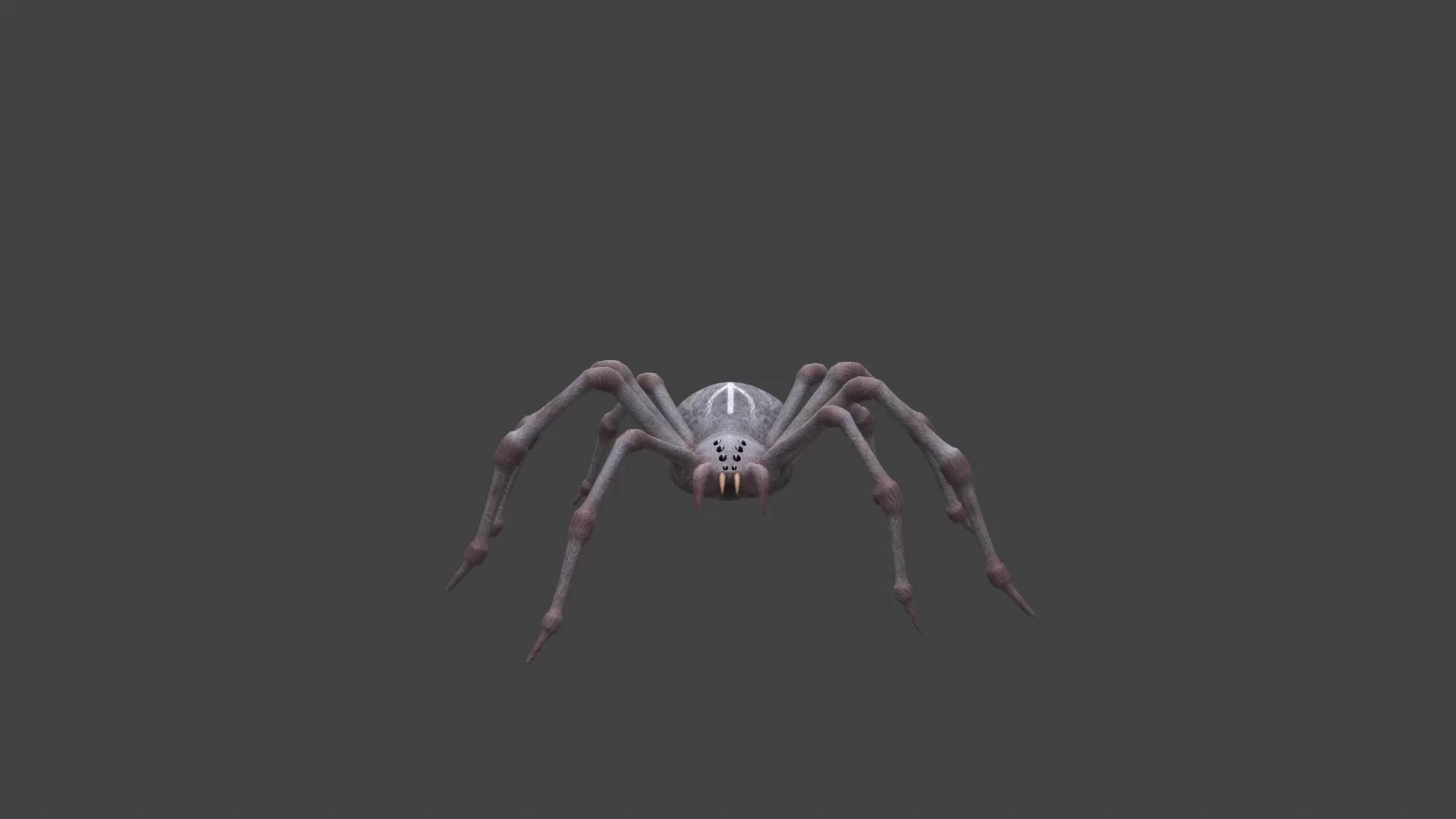 Spider Rigged 3D Model - TurboSquid 1588452