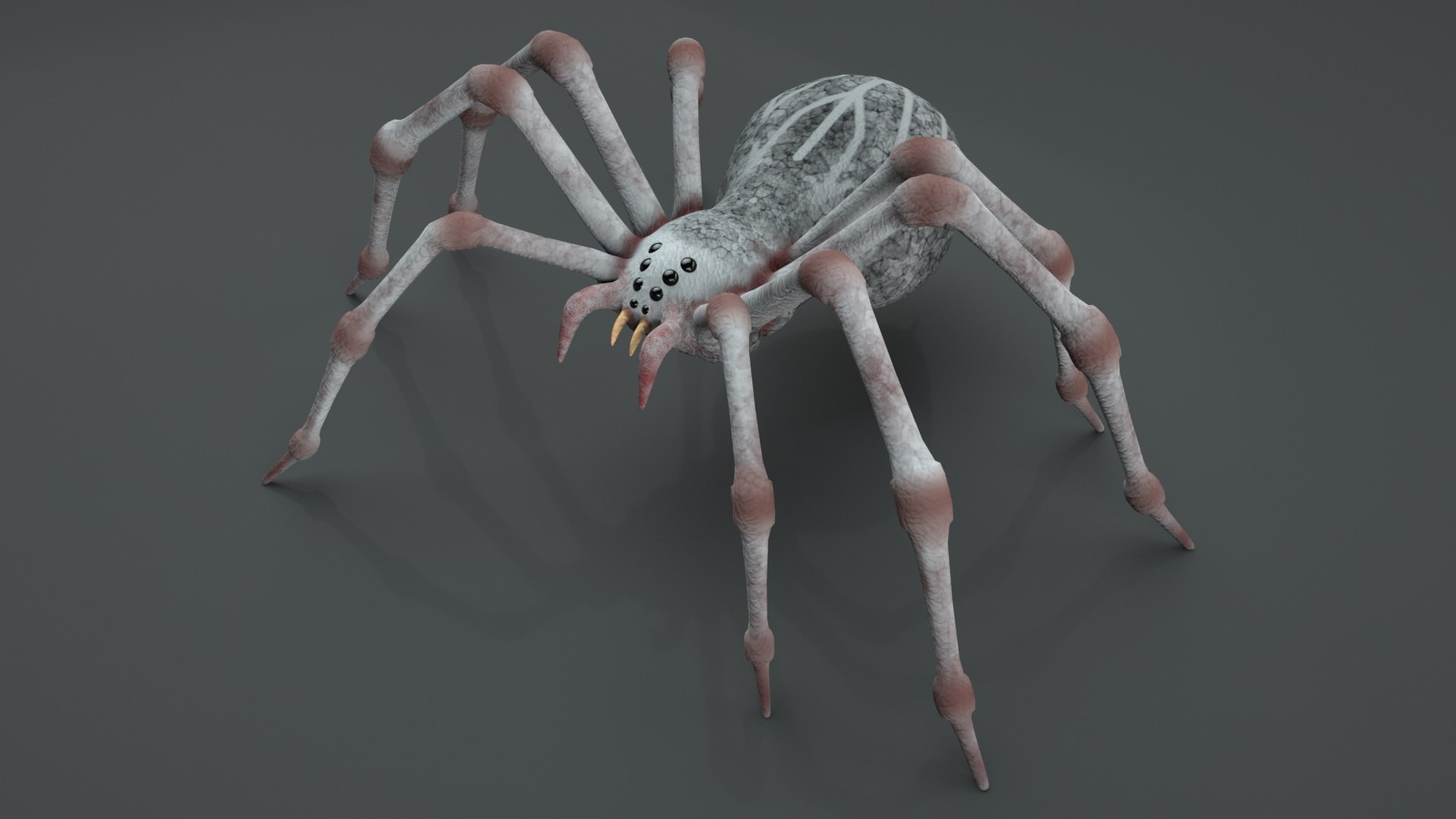 Spider Rigged 3D Model - TurboSquid 1588452