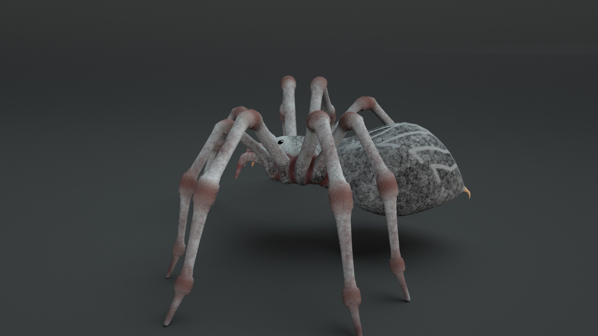 Spider Rigged 3D Model - TurboSquid 1588452