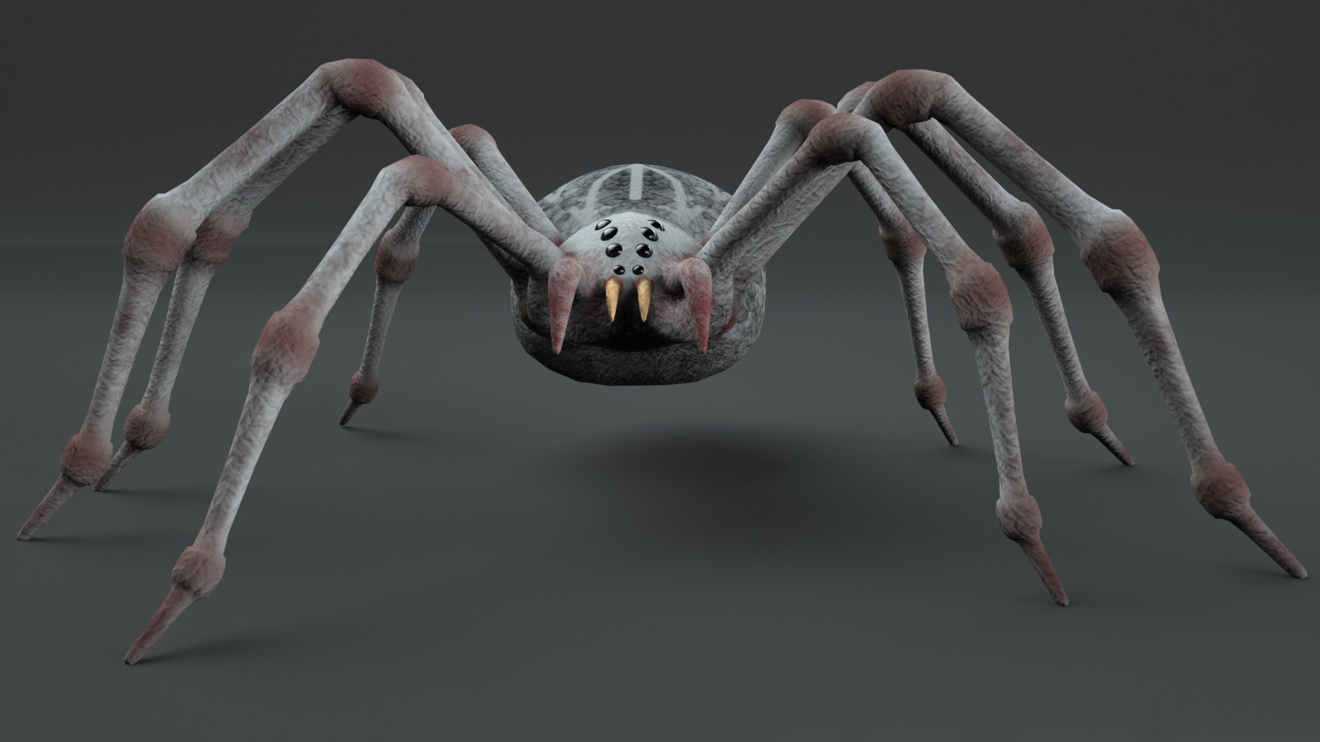 Spider Rigged 3D Model - TurboSquid 1588452