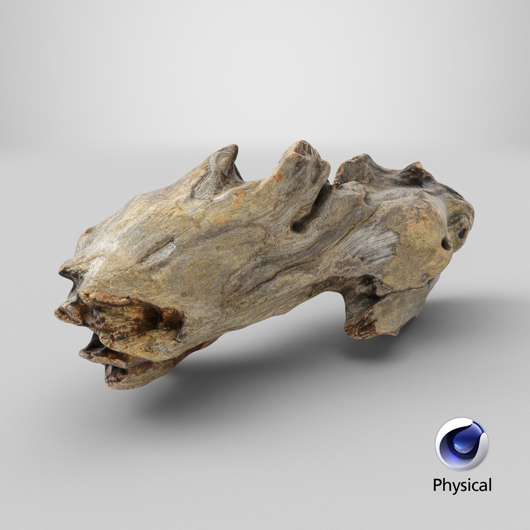 Tree Trunk Piece 08 3D - TurboSquid 2496402