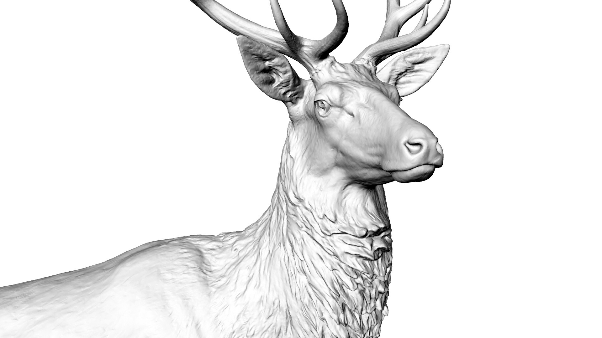 3D Scan Deer - TurboSquid 1241319