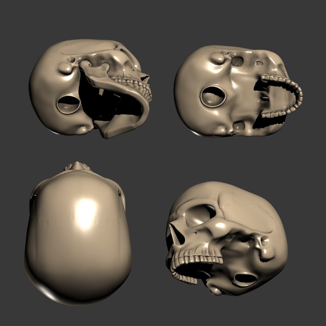 Human Skull Model - TurboSquid 1333899