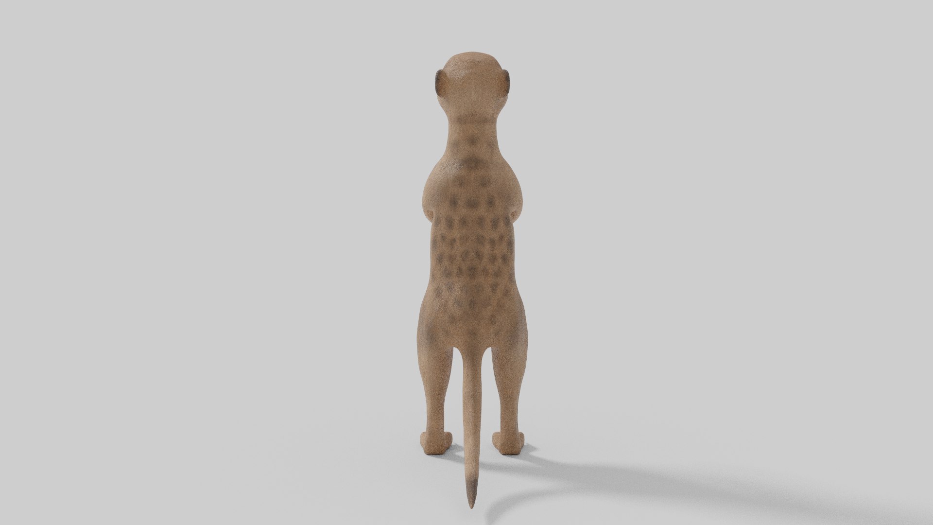 3D Meerkat Model Model - TurboSquid 1906206