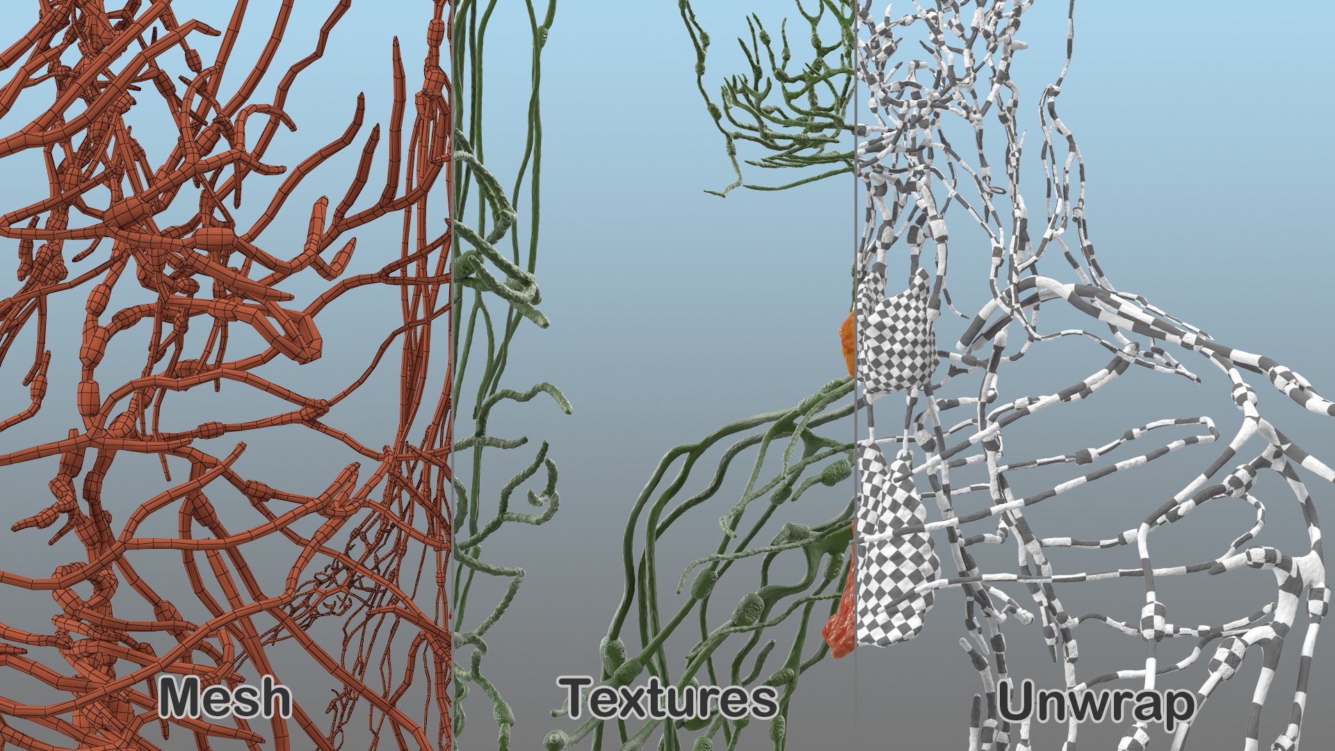 3D human lymphatic body - TurboSquid 1461706