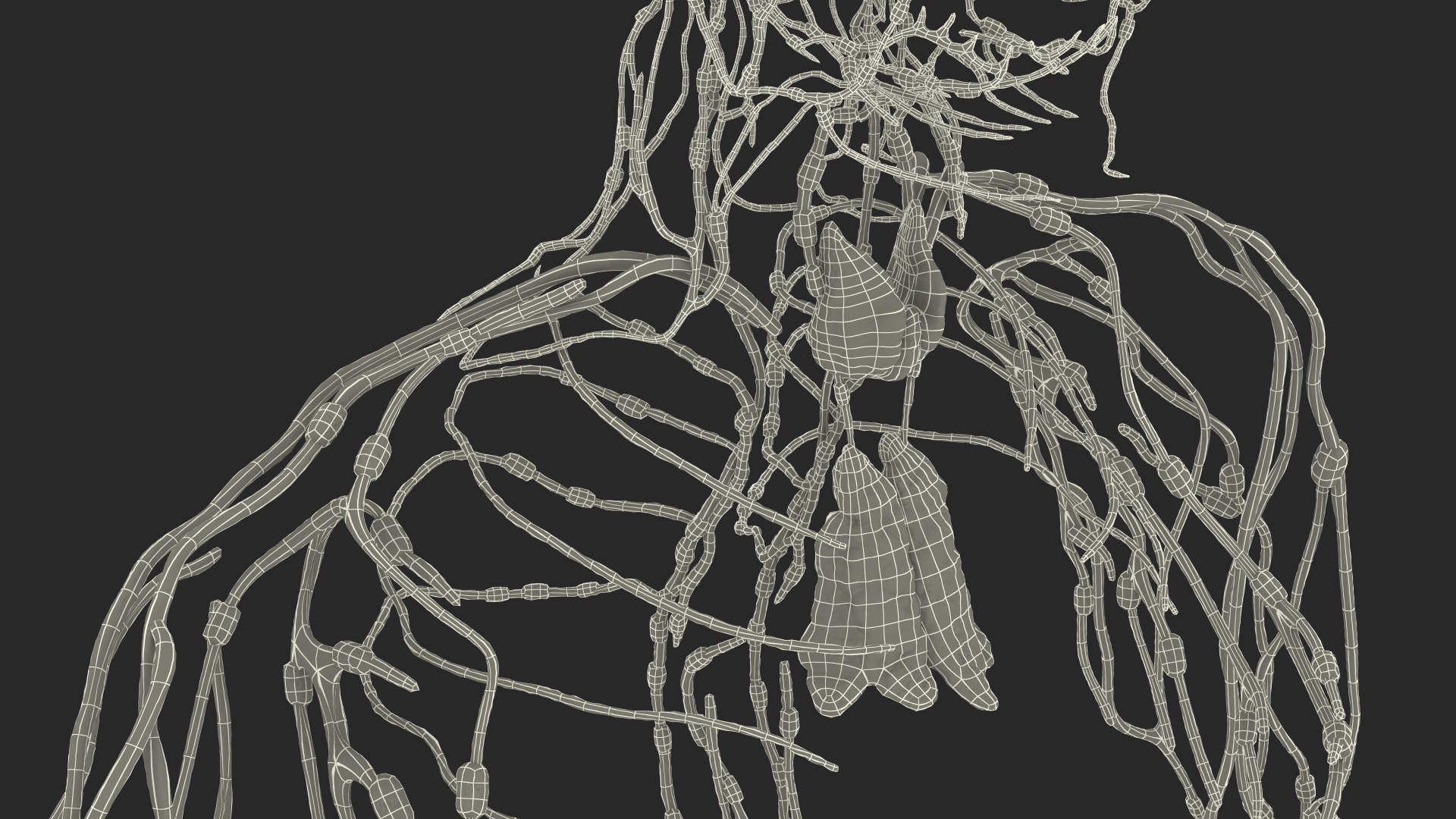 3D human lymphatic body - TurboSquid 1461706