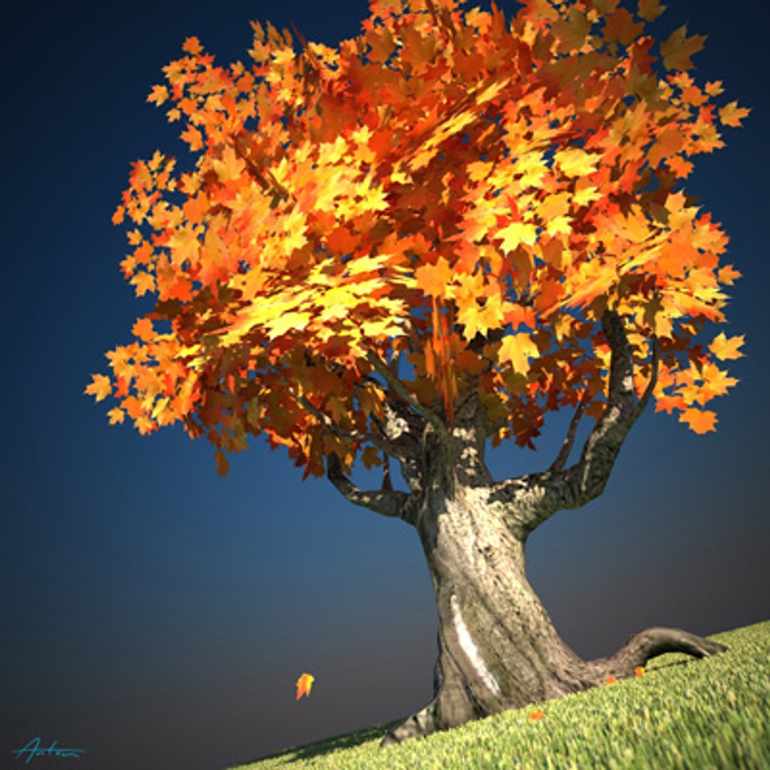 3d maple tree scene
