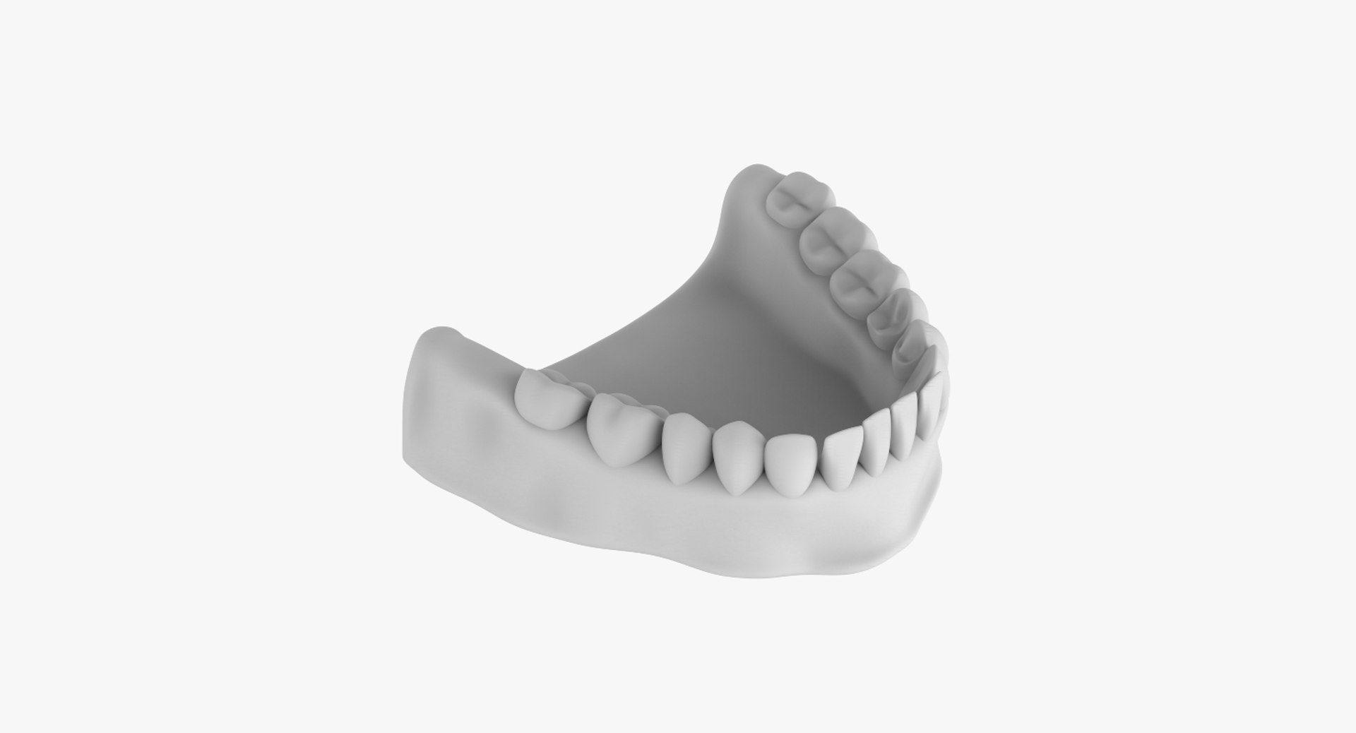 Teeth Denture 3d Model
