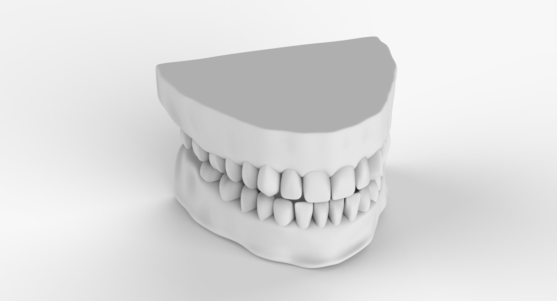 Teeth Denture 3d Model