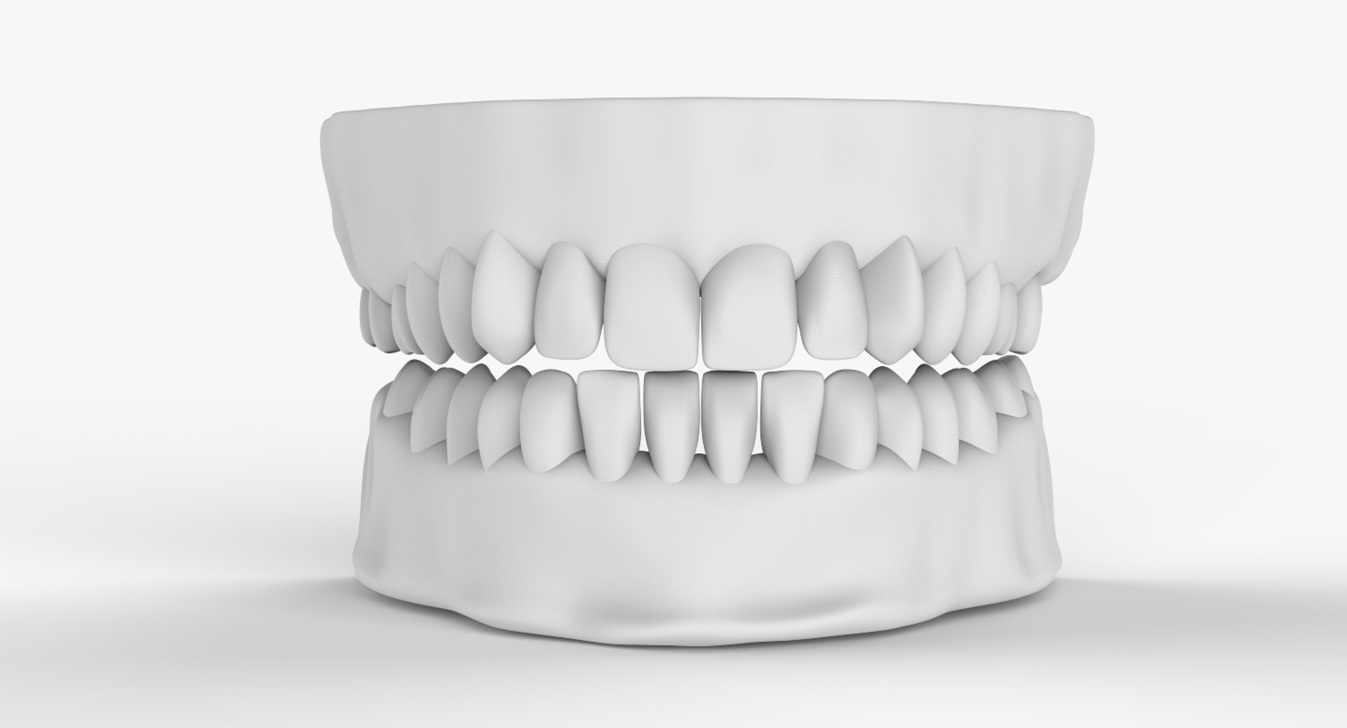 Teeth Denture 3d Model
