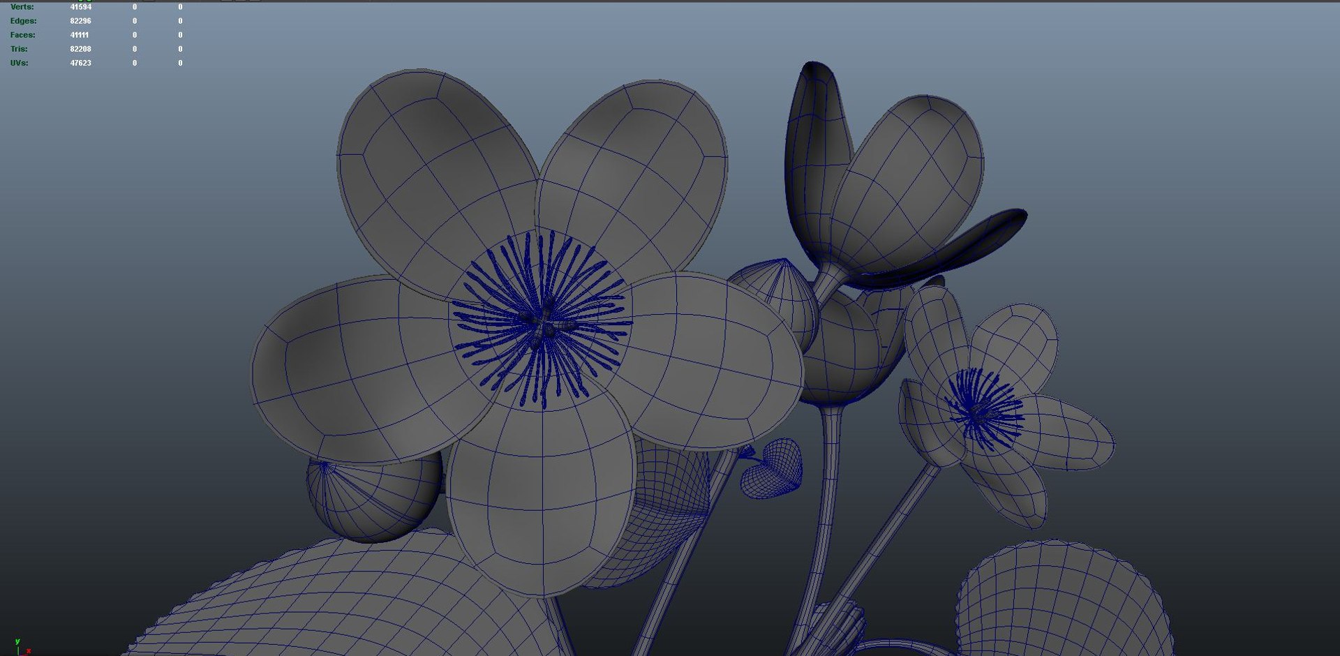 Polypetalae Plants Model - TurboSquid 1238406