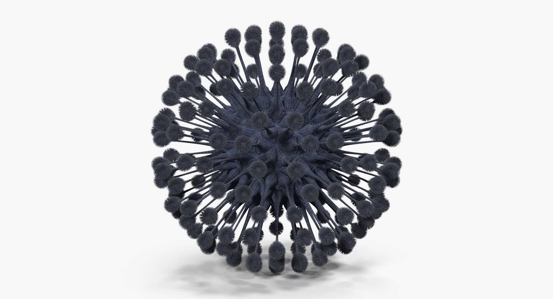 3d Herpes Virus