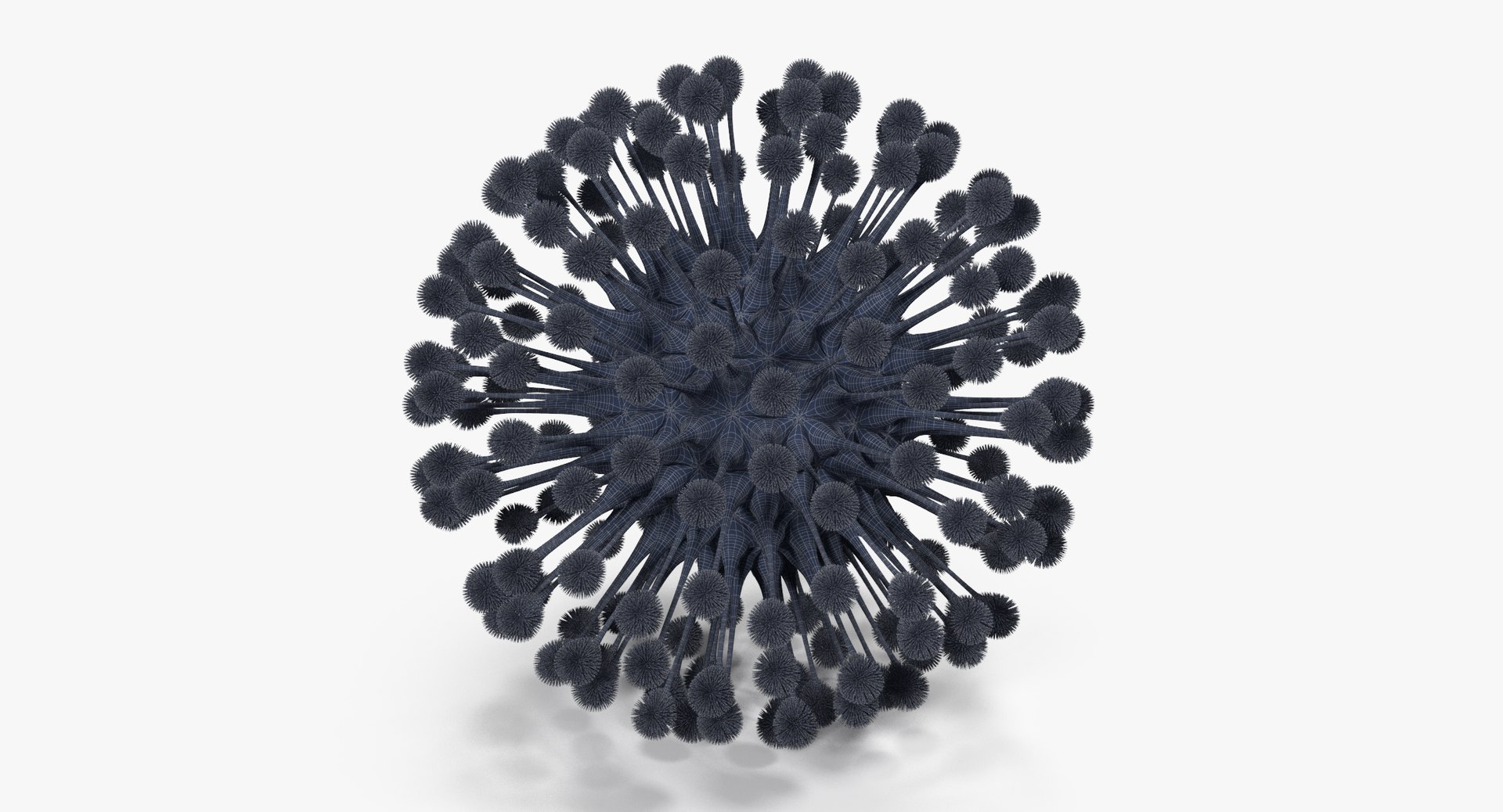 3d Herpes Virus