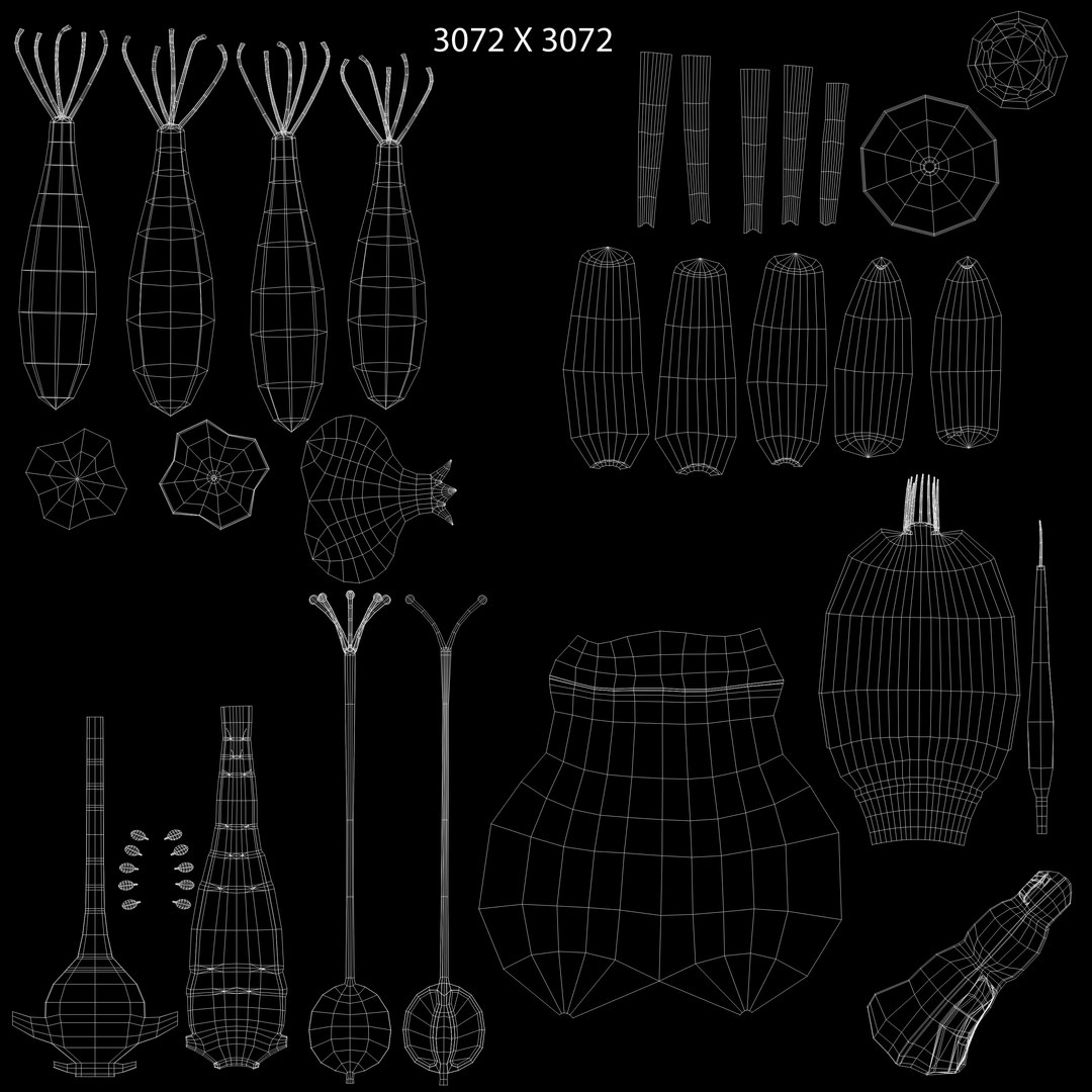 3d Cohesion Stamens Model