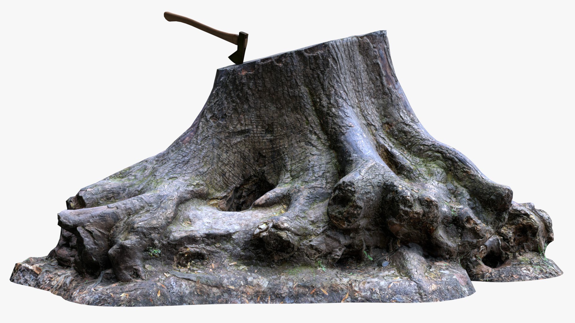 3D Big Old Tree Stump - Game Asset Model - TurboSquid 1847897