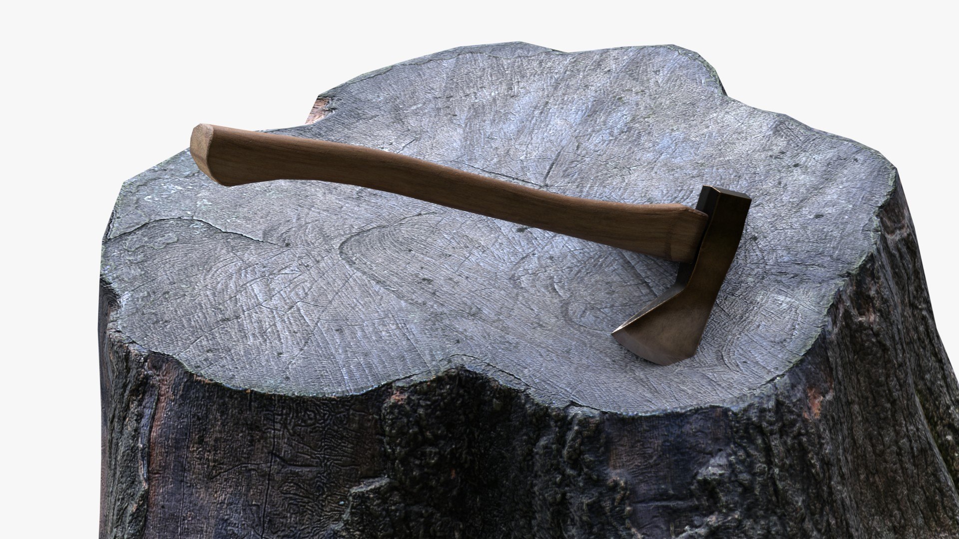 3D Big Old Tree Stump - Game Asset Model - TurboSquid 1847897