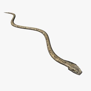 Snake 3D Models for Download | TurboSquid