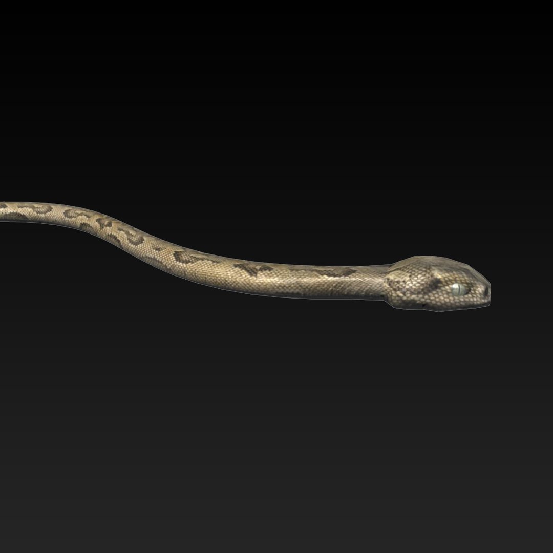 Maya Snake Animate