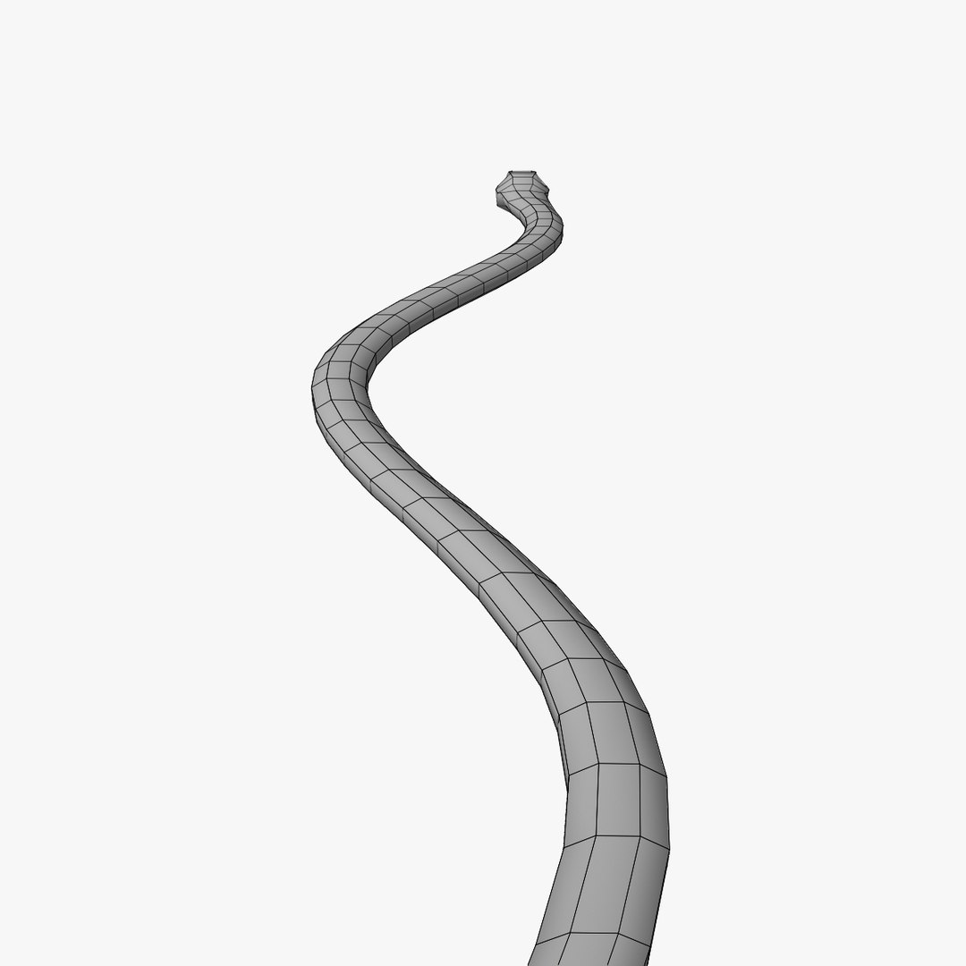Maya Snake Animate