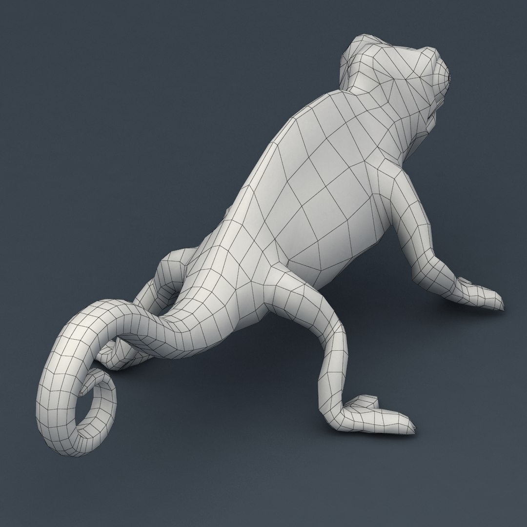 Chameleon Animation Max