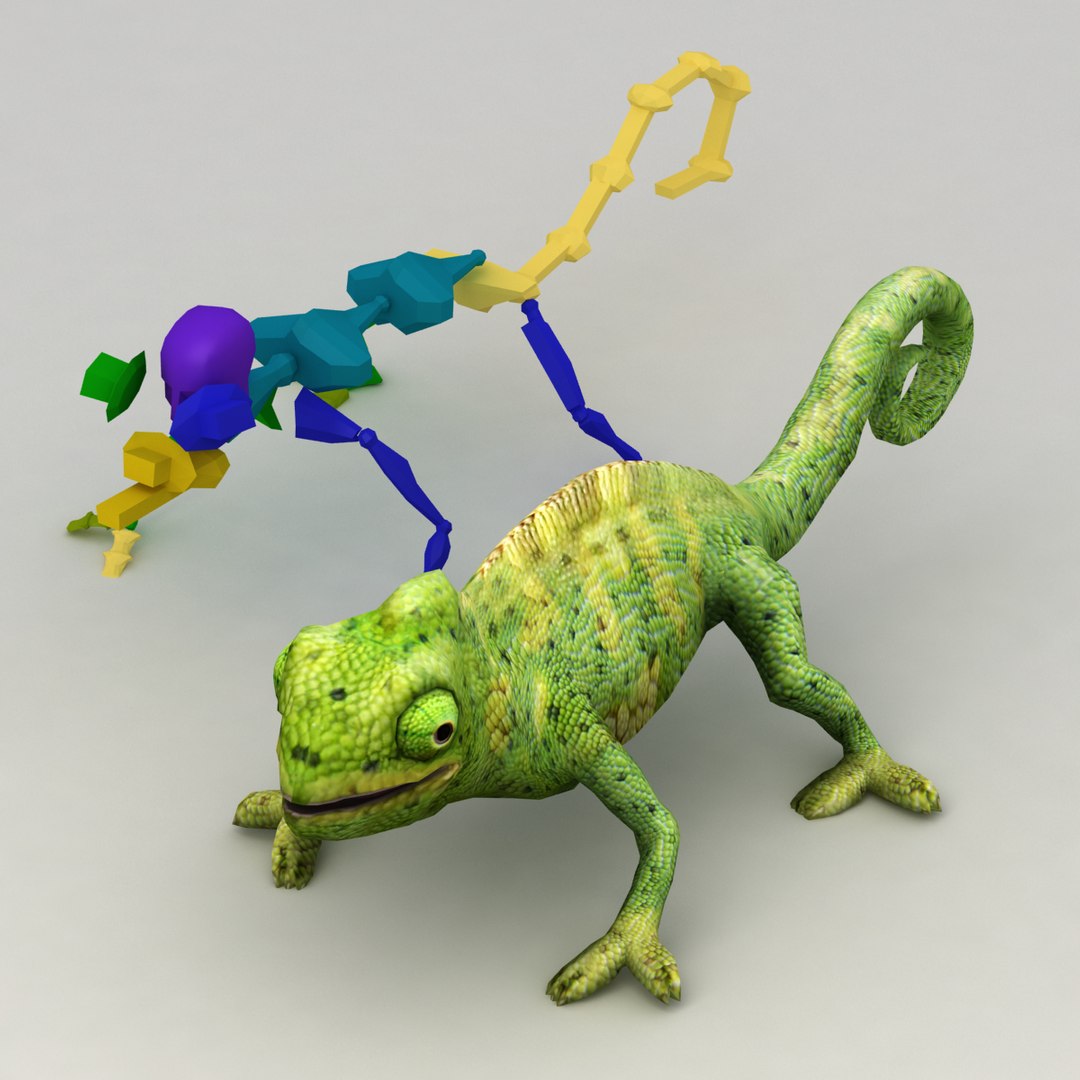 Chameleon Animation Max