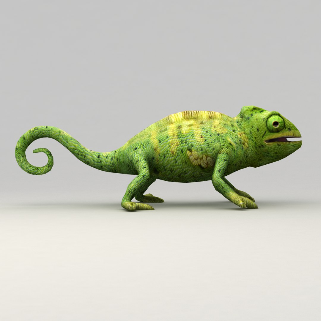 Chameleon Animation Max