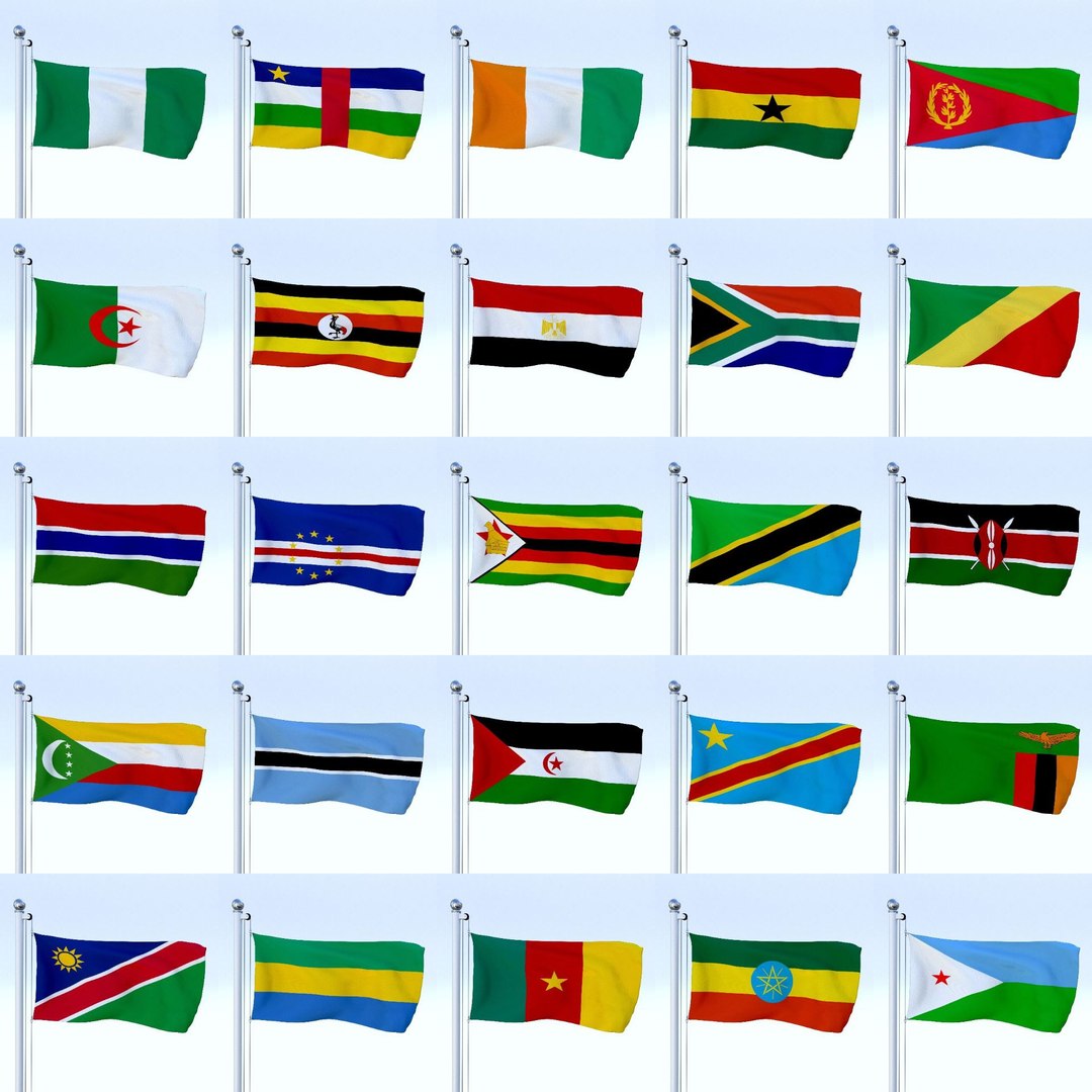 3d pack flags 196