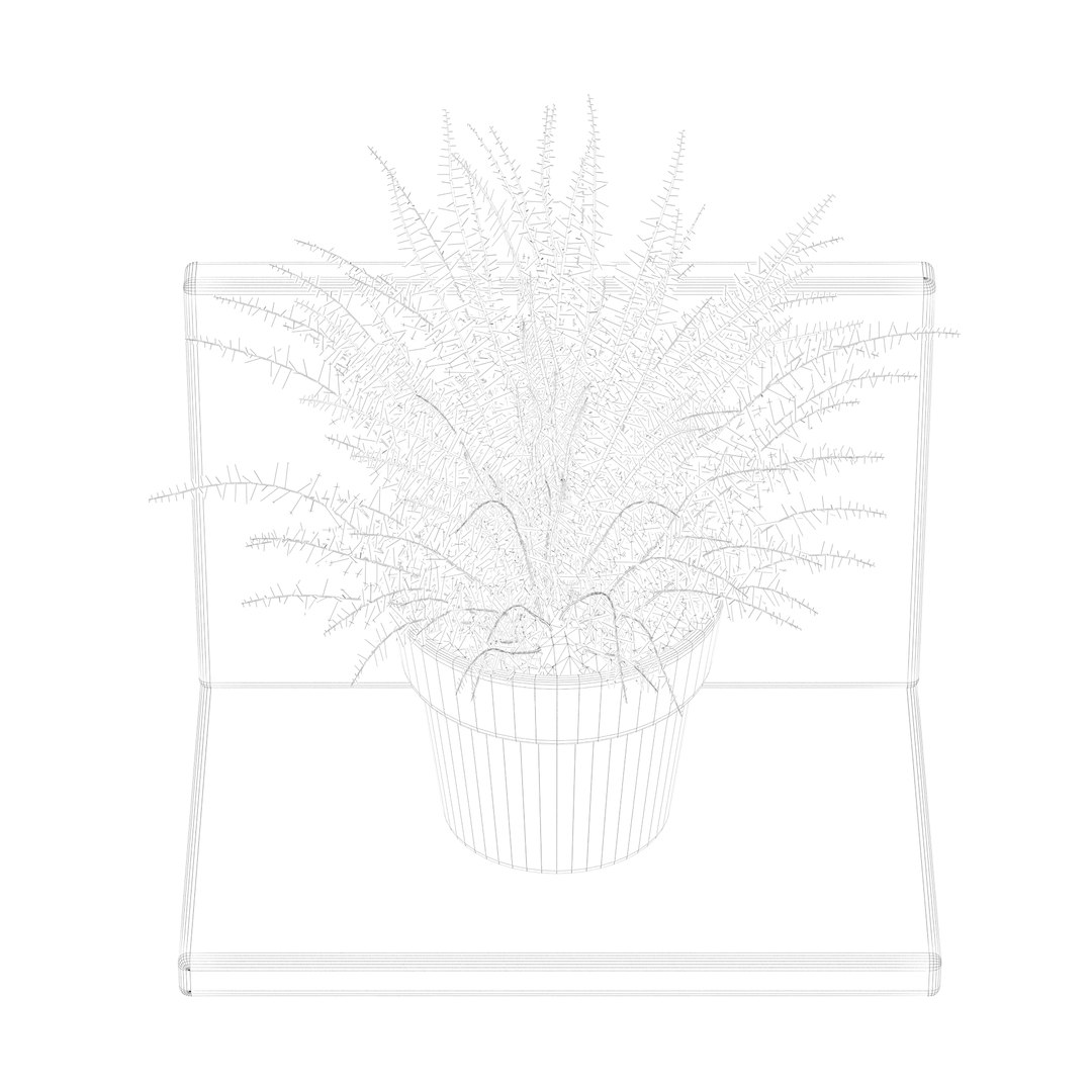 Fern Indoor Plant 3D Model - TurboSquid 1876505