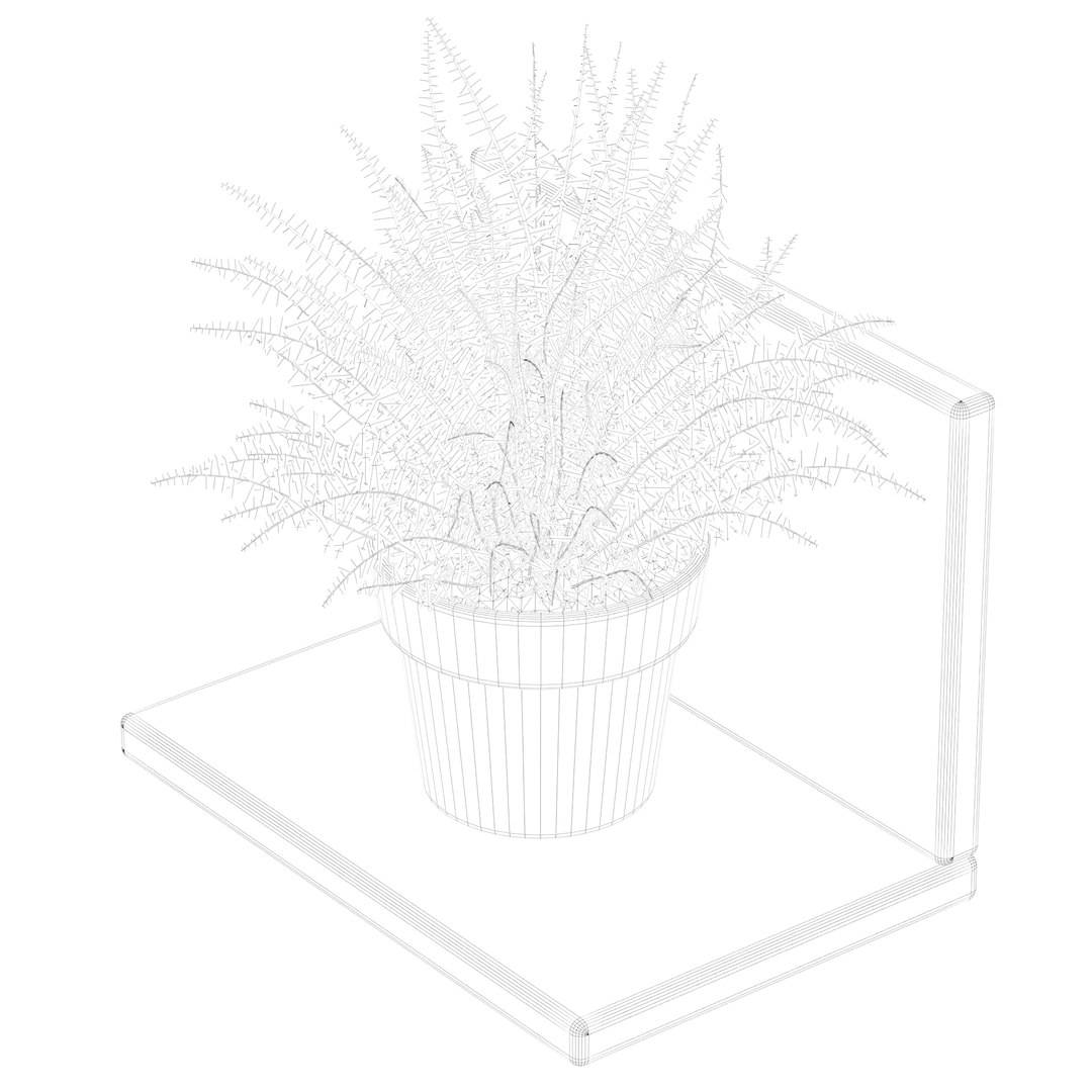 Fern Indoor Plant 3D Model - TurboSquid 1876505