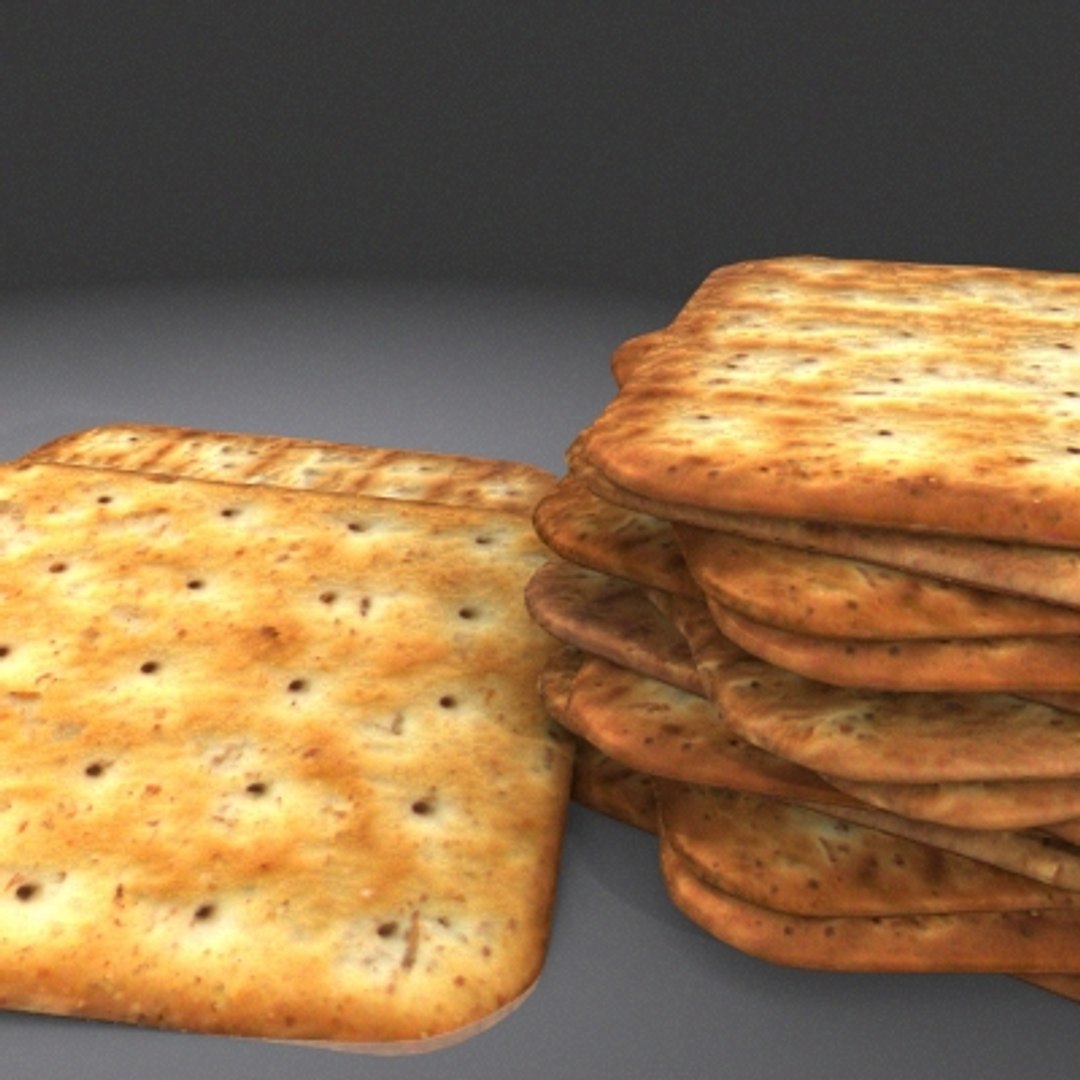 3d Dry Biscuit Model