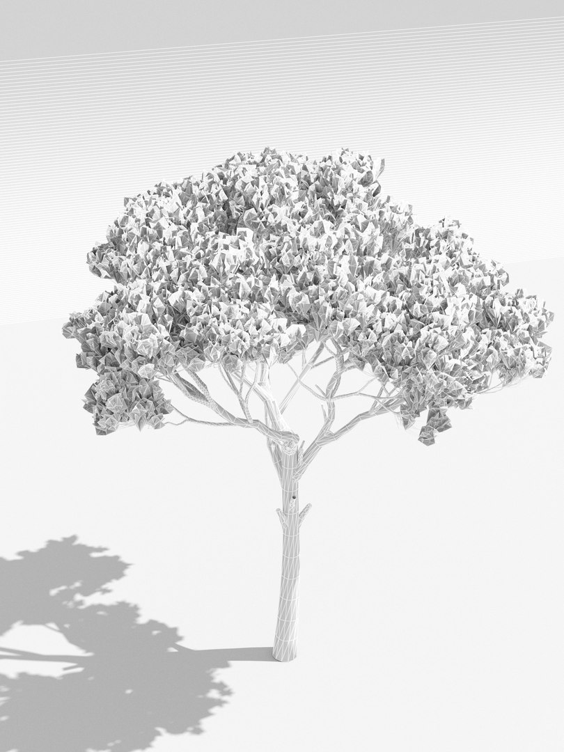 Pine parasol tree 3D model - TurboSquid 1171005