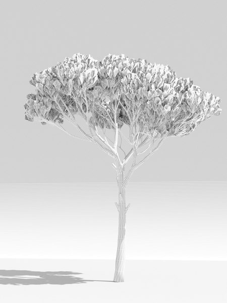 Pine parasol tree 3D model - TurboSquid 1171005