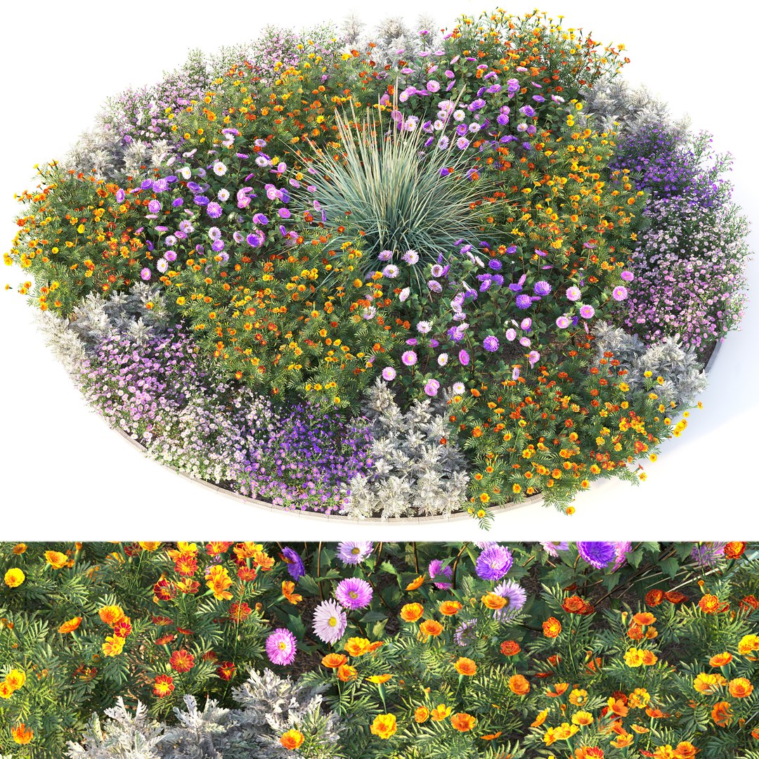 3D Flowerbed 4 Plants Flowers Model - TurboSquid 1709160
