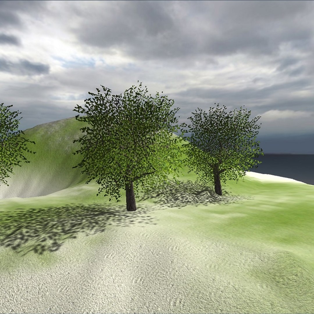 Free Tree Model - TurboSquid 1200213