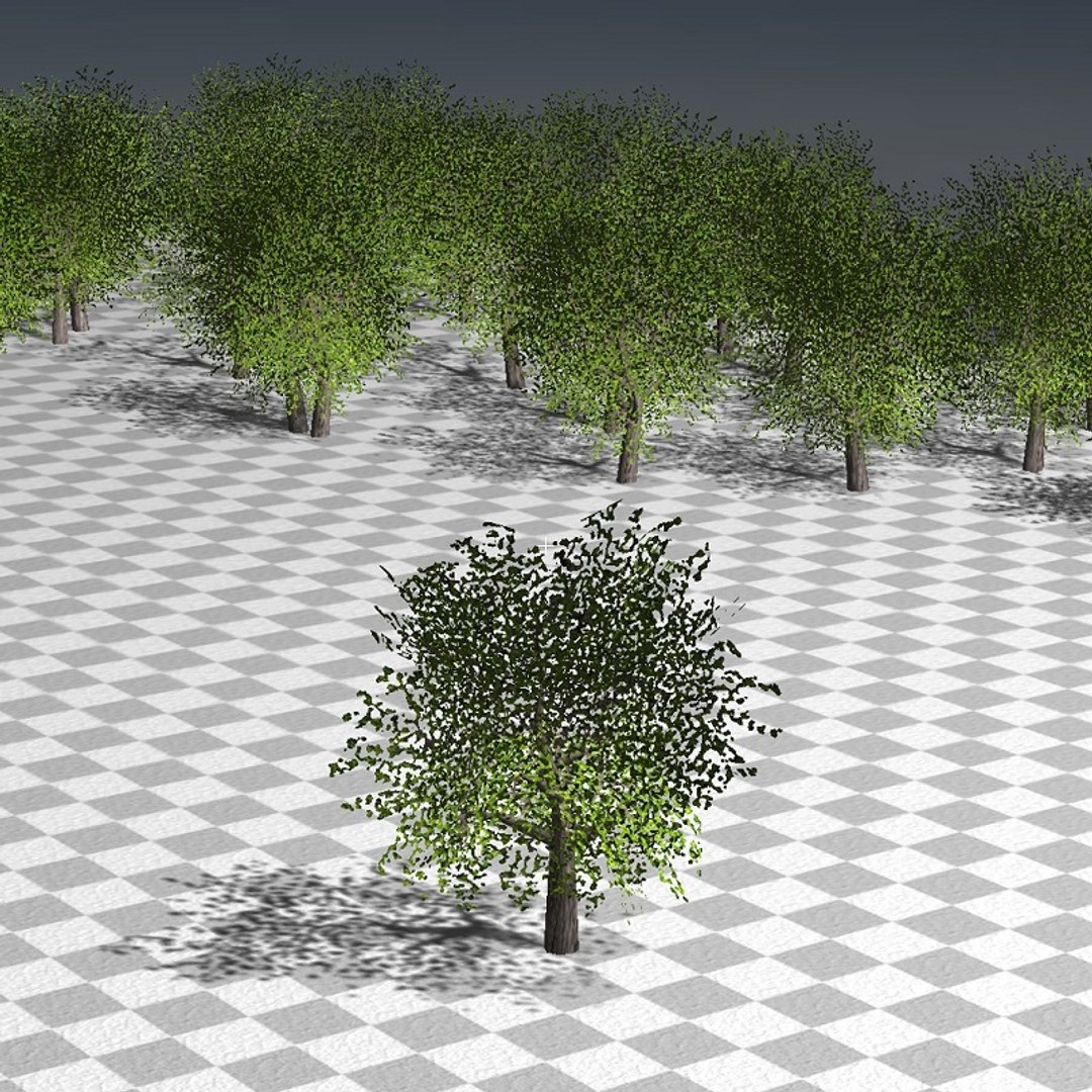 Free Tree Model - TurboSquid 1200213
