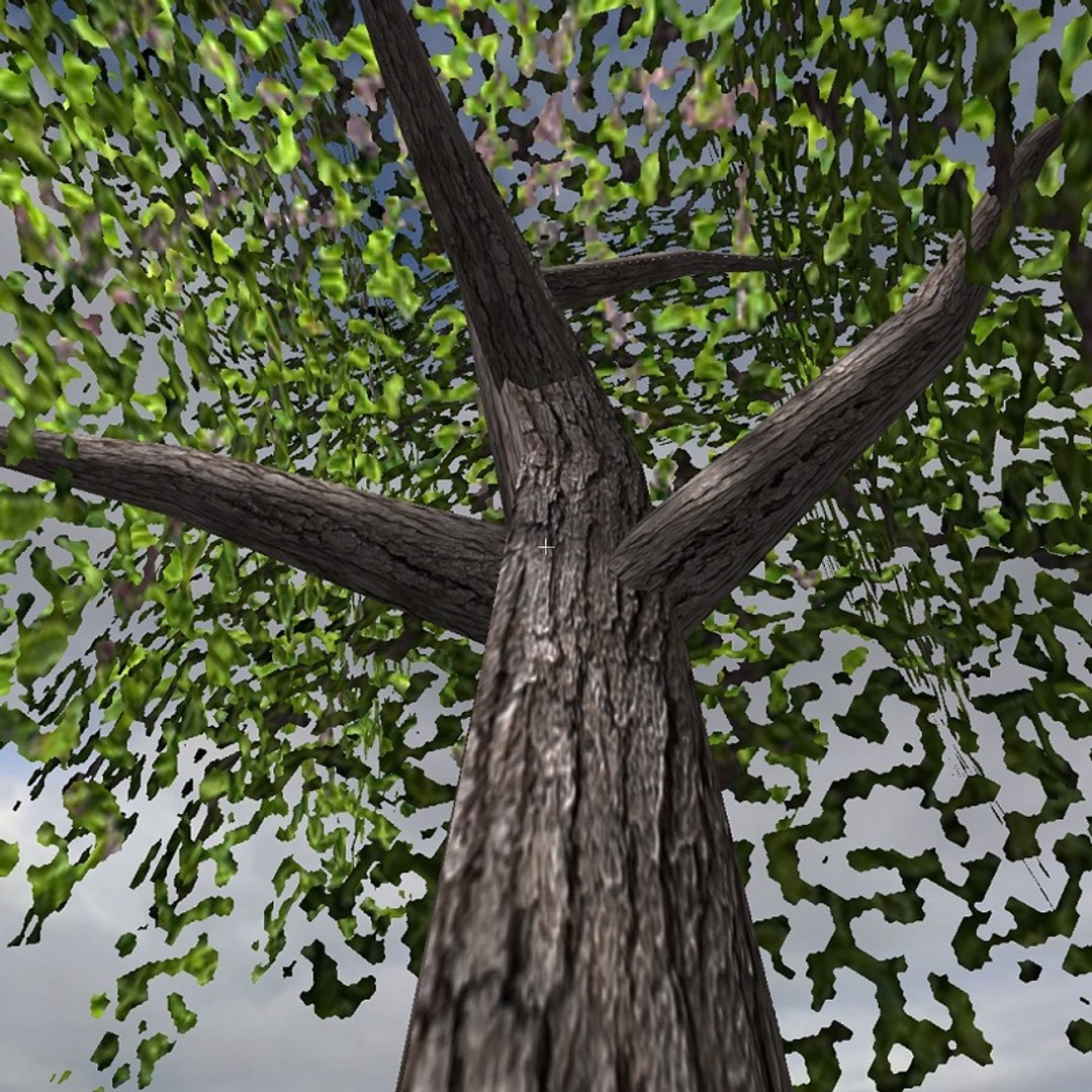 Free Tree Model - TurboSquid 1200213