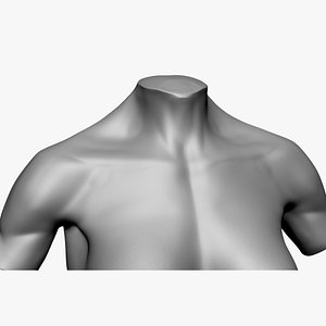 3D Torso Models - Browse & Download Formats - TurboSquid