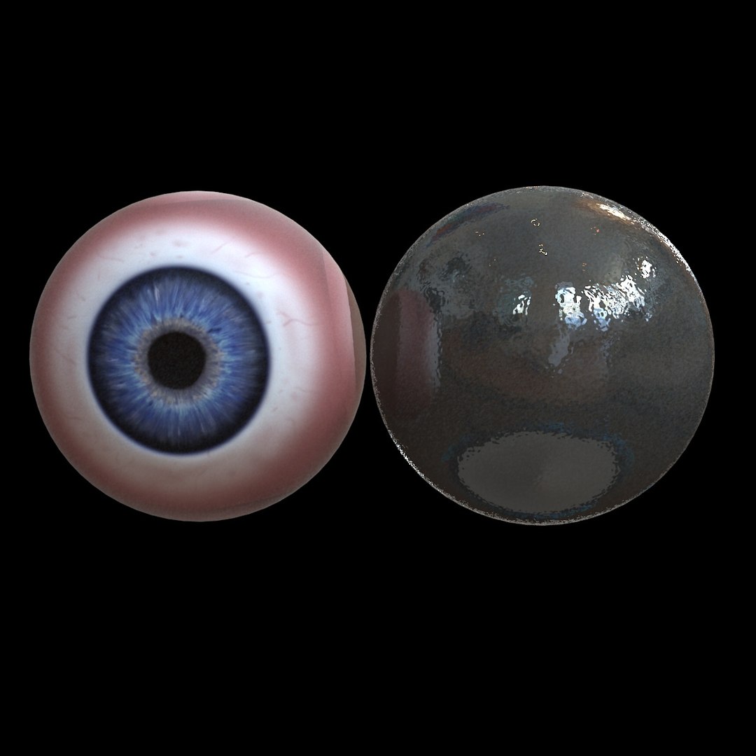 Eye Cornea 3d Model