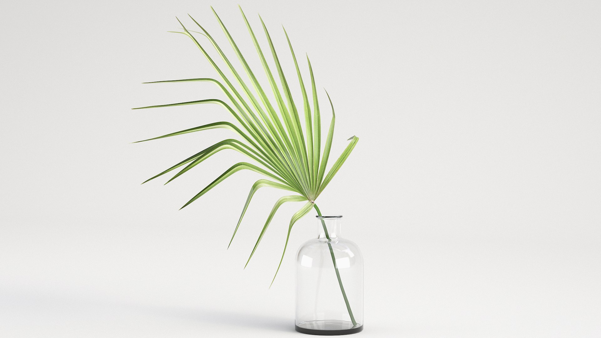 Palm Model - TurboSquid 1629259