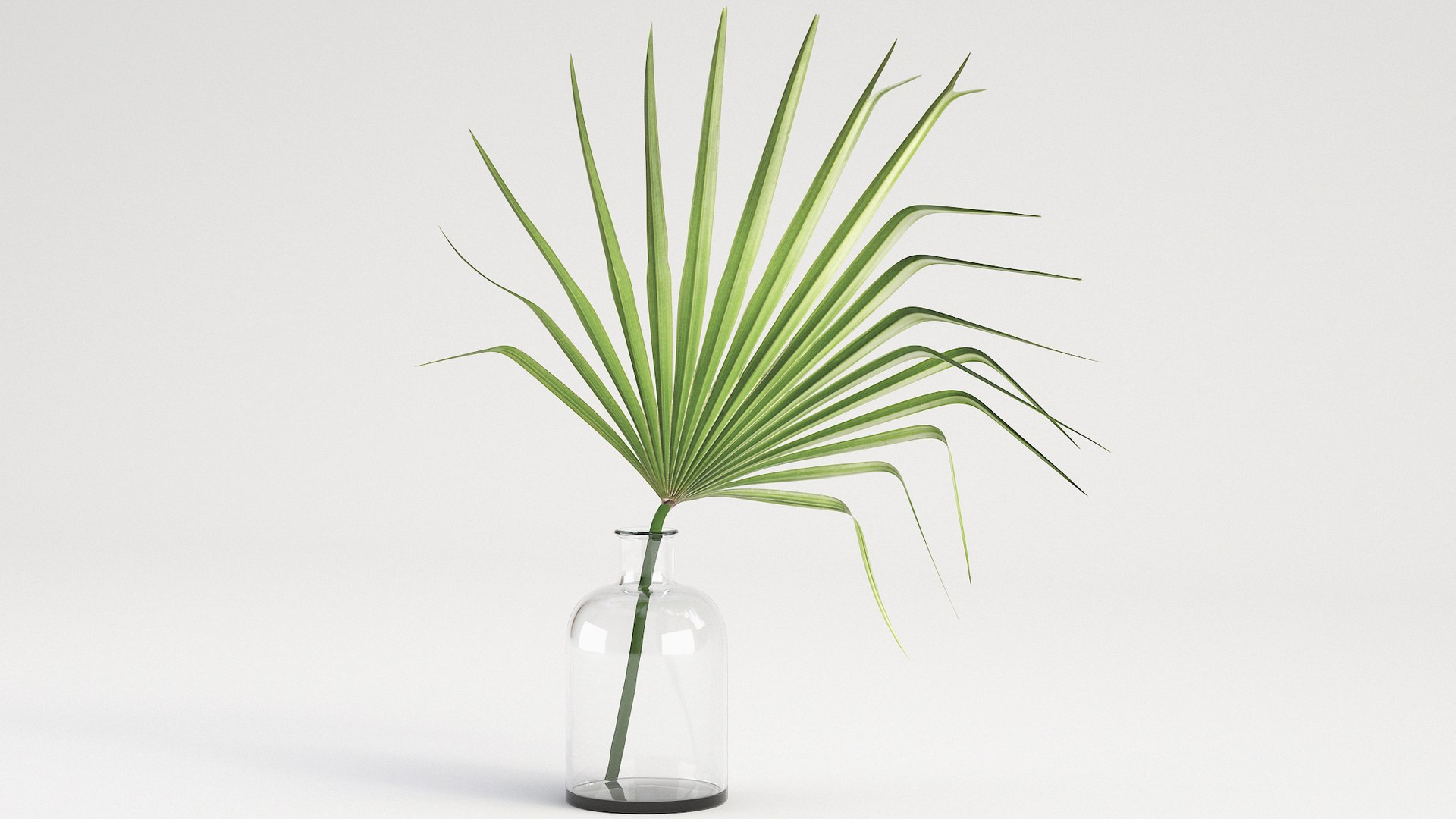Palm Model - TurboSquid 1629259