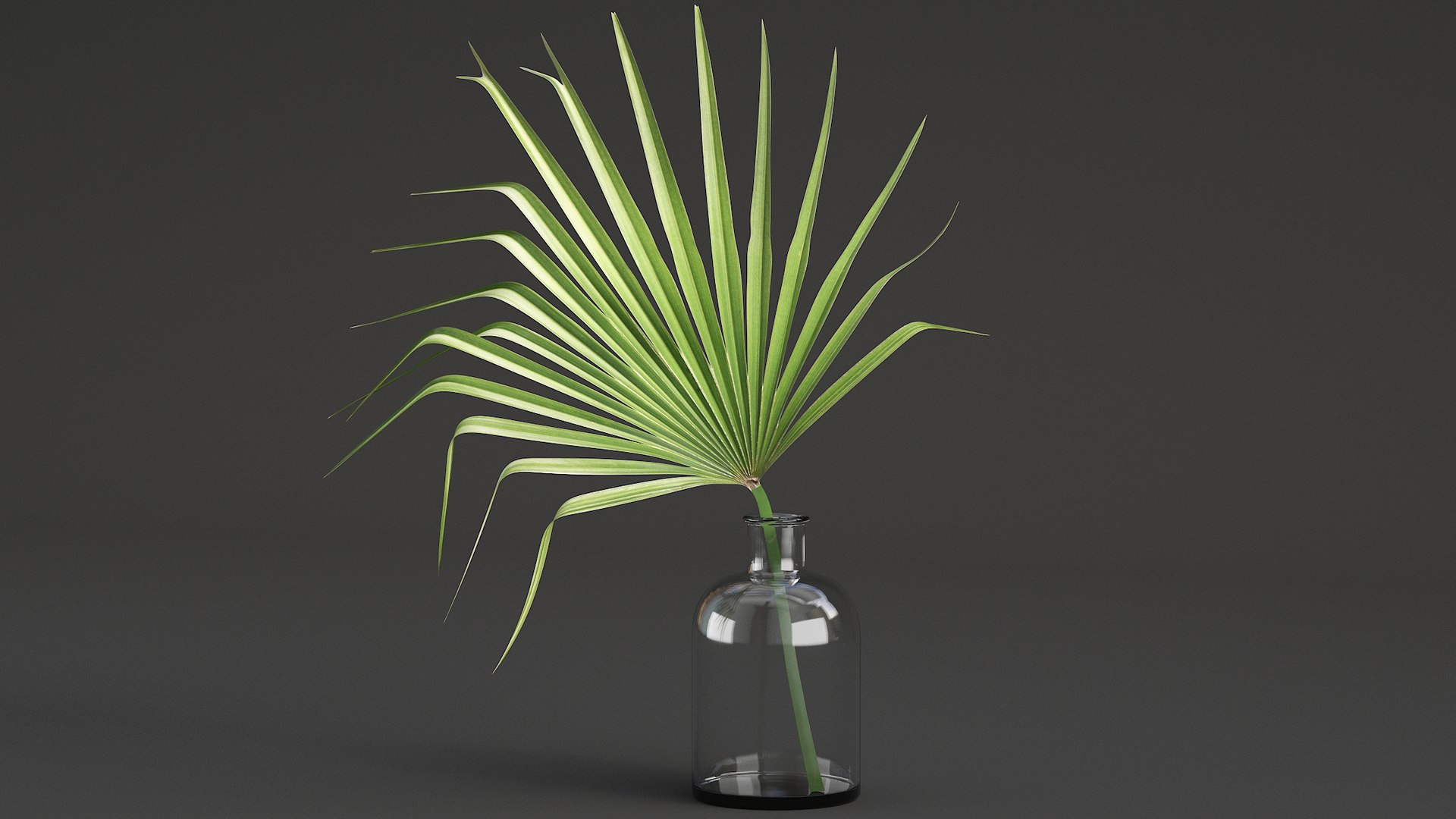Palm Model - TurboSquid 1629259