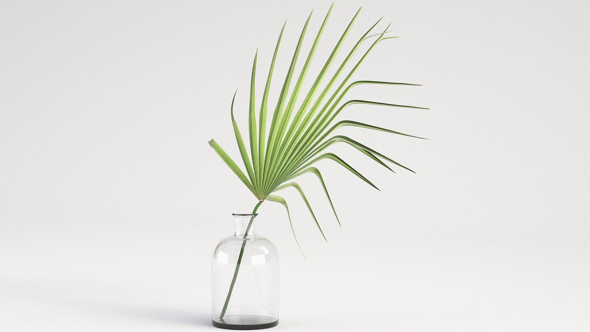 Palm Model - TurboSquid 1629259